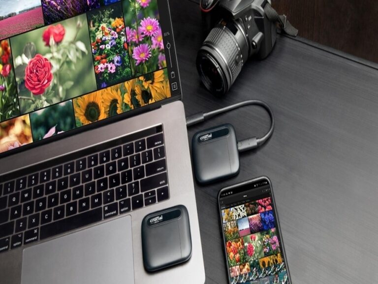 Mylio Photos Introduces a New Way to Organize Images - Mylio Blog